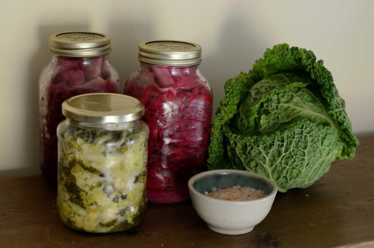 How Fermentation Changed the History of Humanity - Fermento Academy